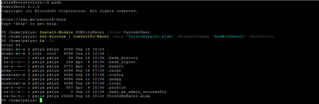 PSWriteExcel - PowerShell Module - Evotec