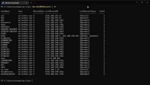 Finding duplicate DNS entries using PowerShell - Evotec
